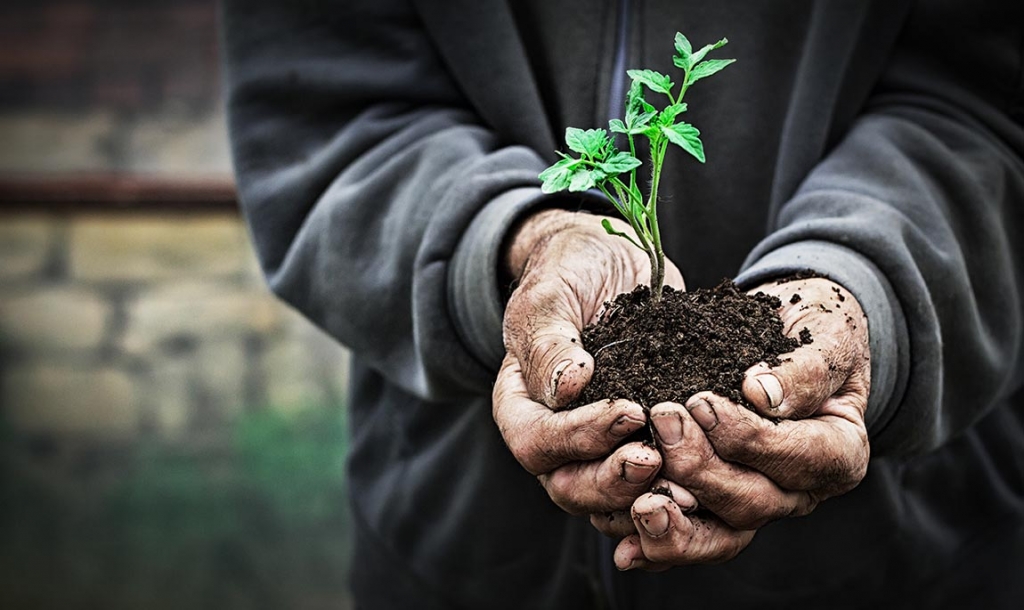 Fowler Landscapes – Christchurch, New Zealand